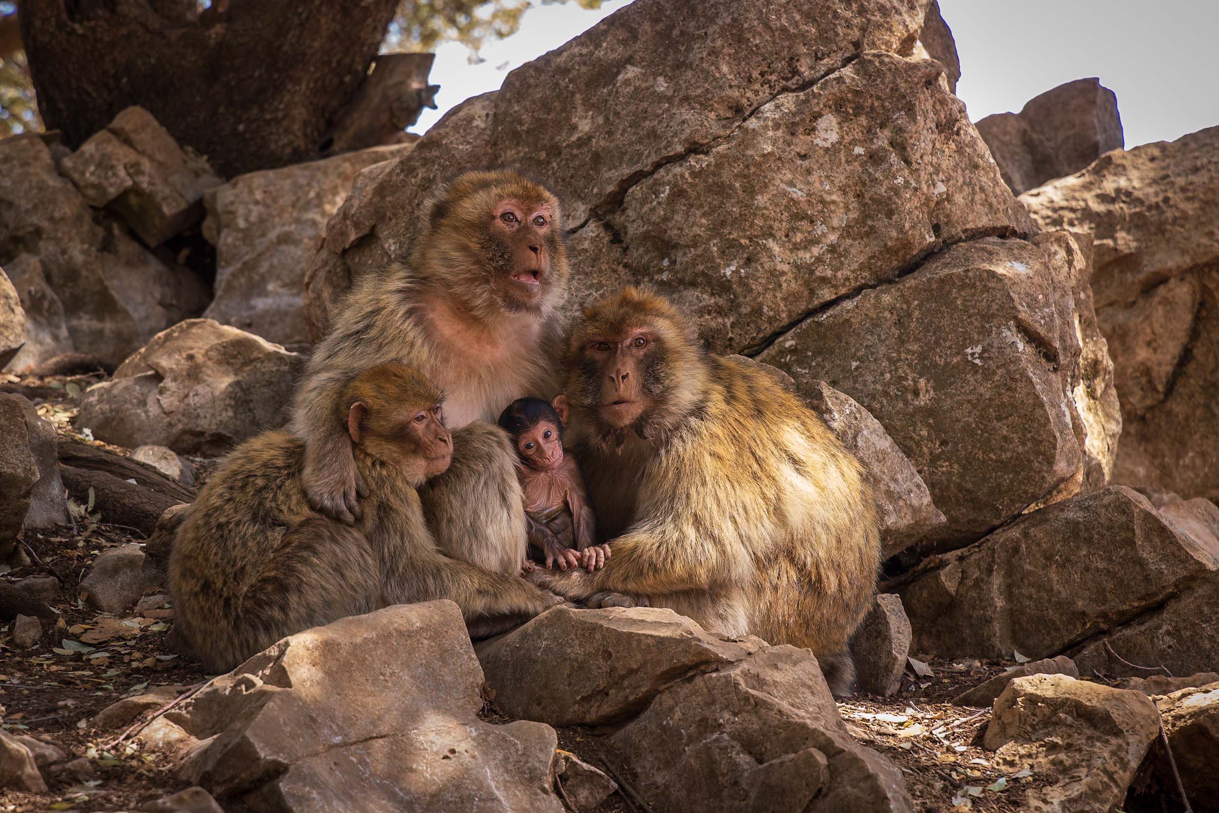 10 Days Photographing Morocco’s Vibrant Beauty | Michael Schultz ...