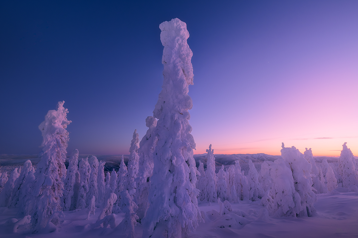 Northern Lights Photography Workshop: Alaska Spring Equinox