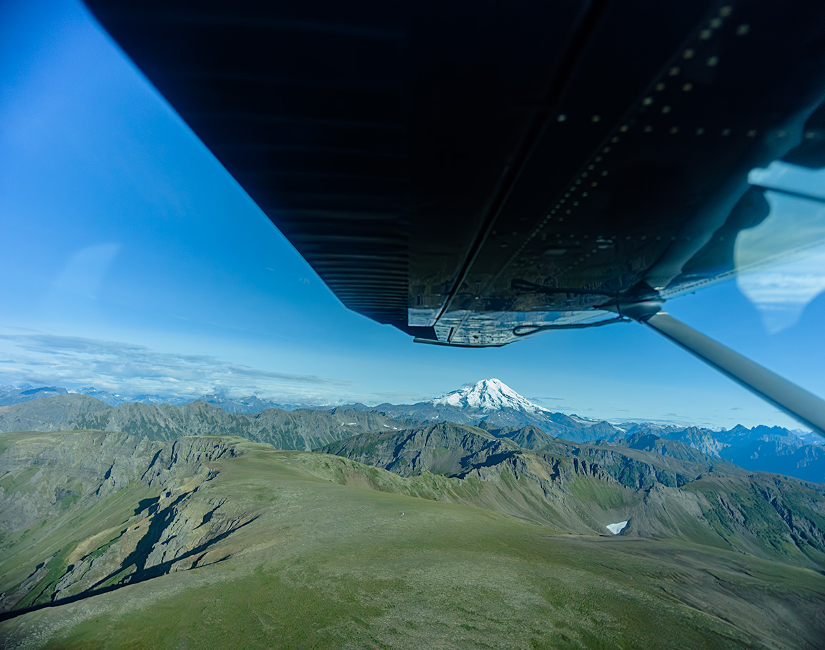 Brown Bears at Lake Clark: 22 Years in Bear Country