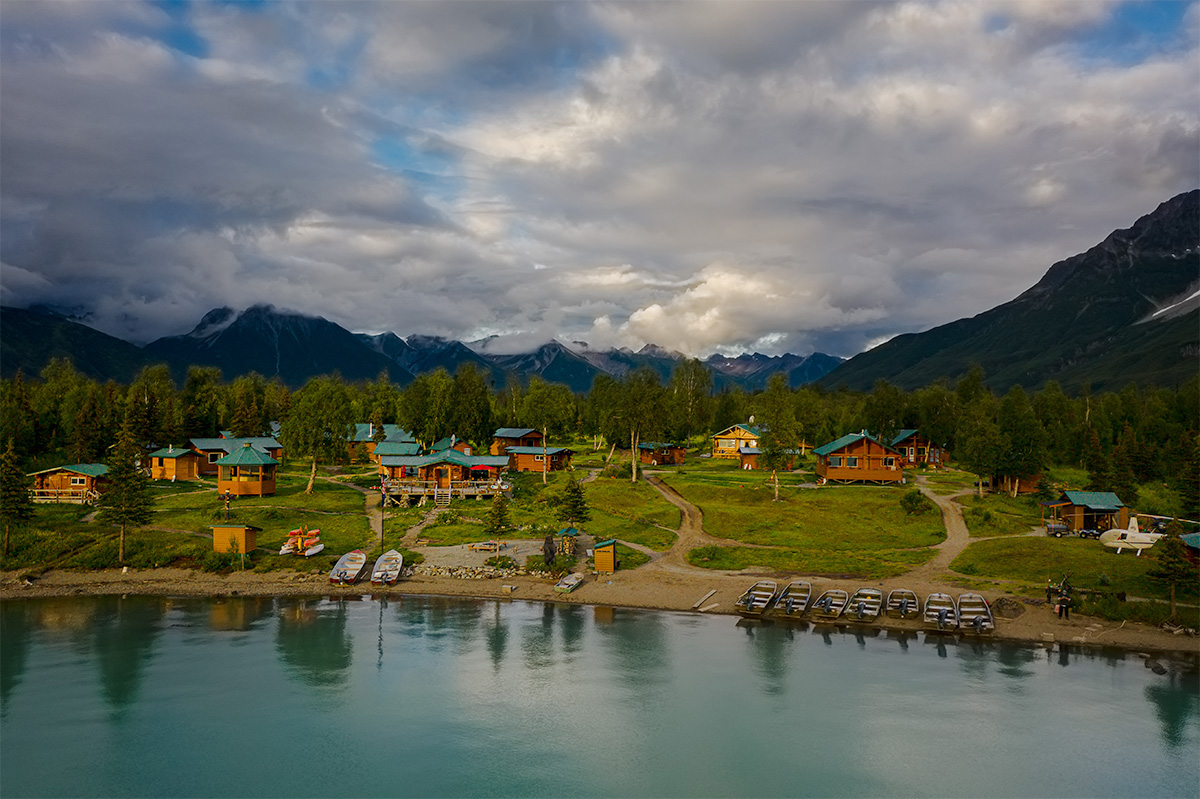 Brown Bears at Lake Clark: 22 Years in Bear Country